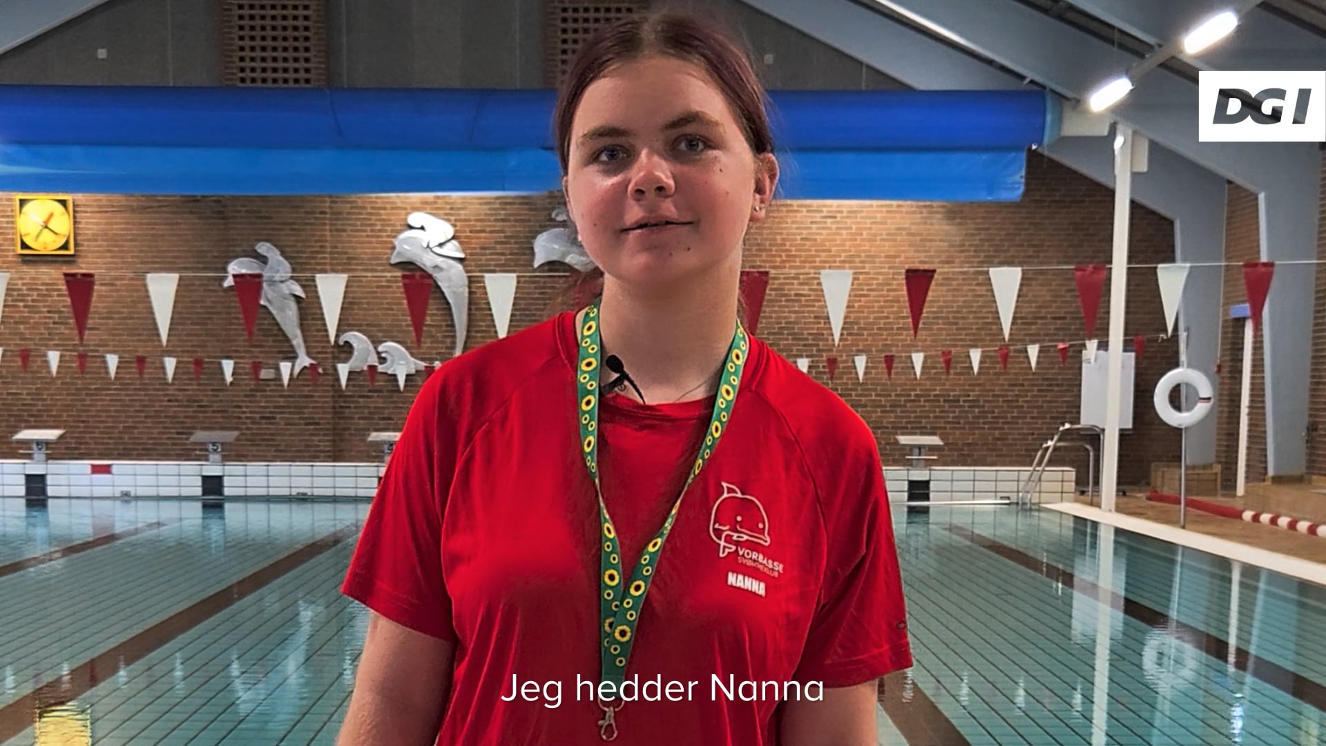 DGI | Solsikkeprogrammet