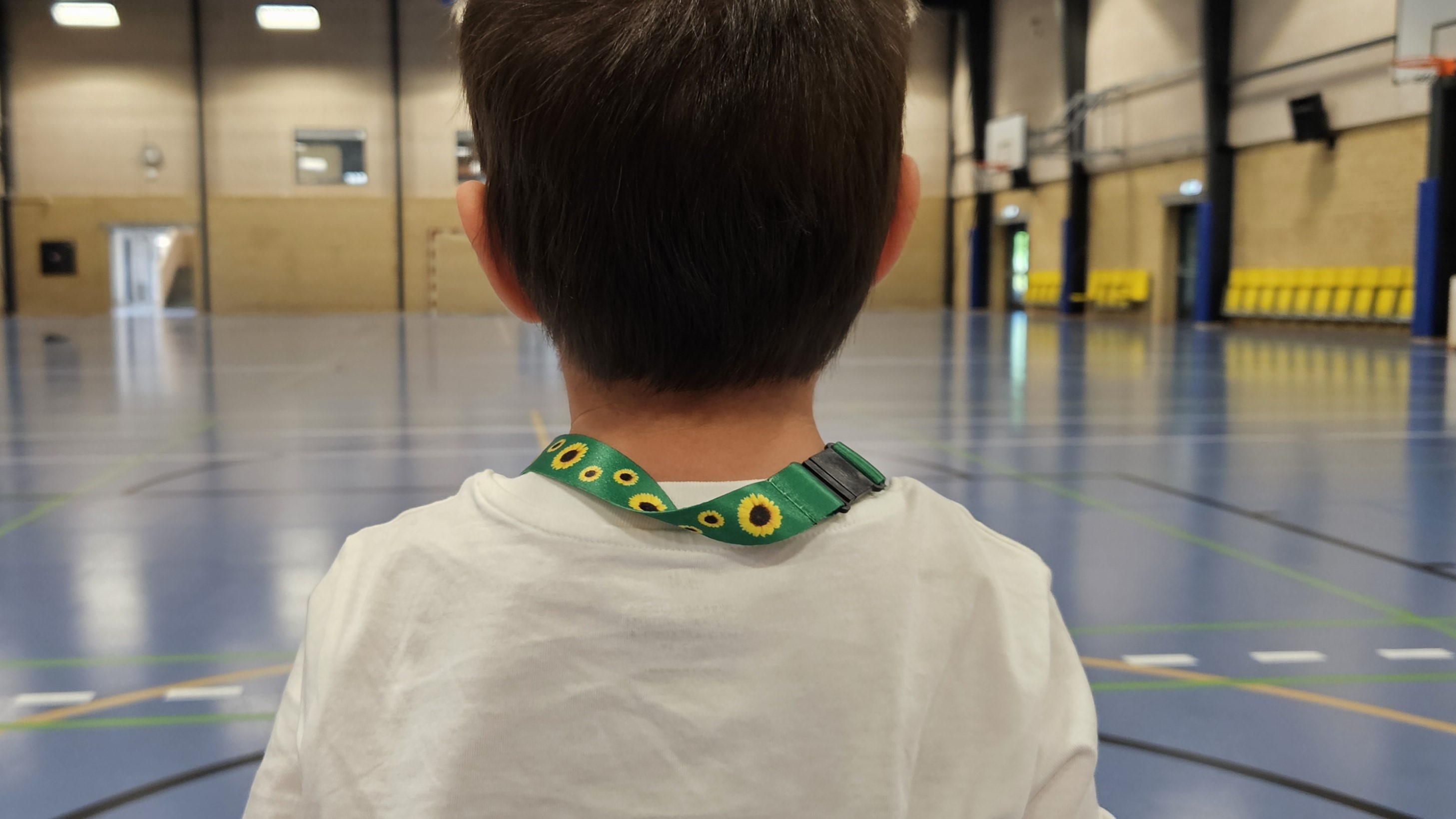 DGI | Solsikkeprogrammet